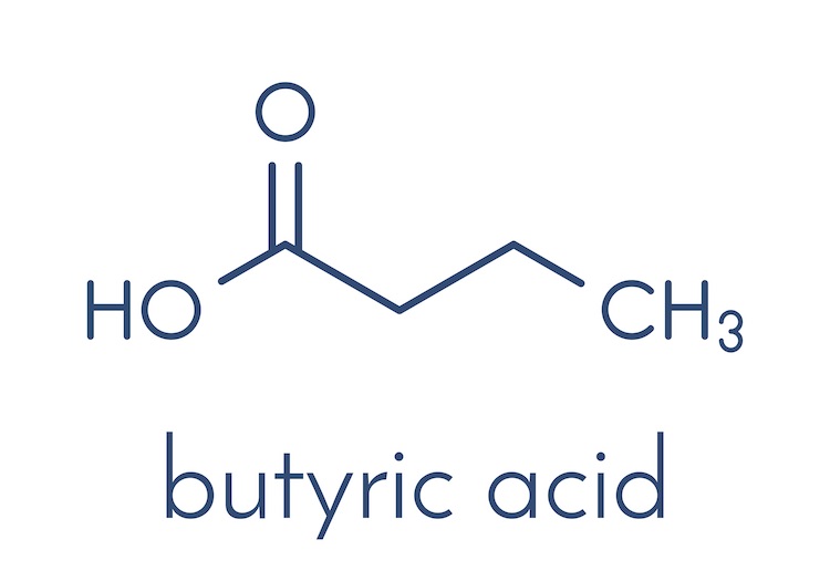 What Is Butyrate And How Might It Help You? - Healevate